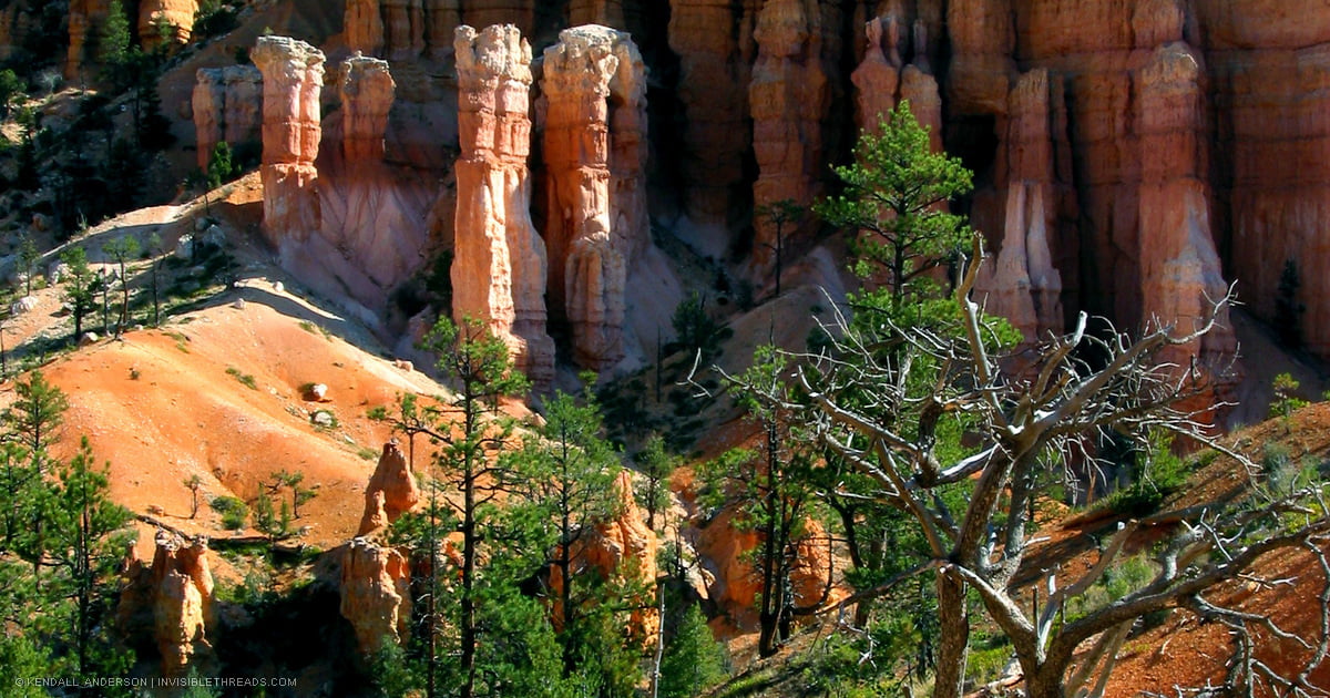 Bryce Canyon | Invisible Threads