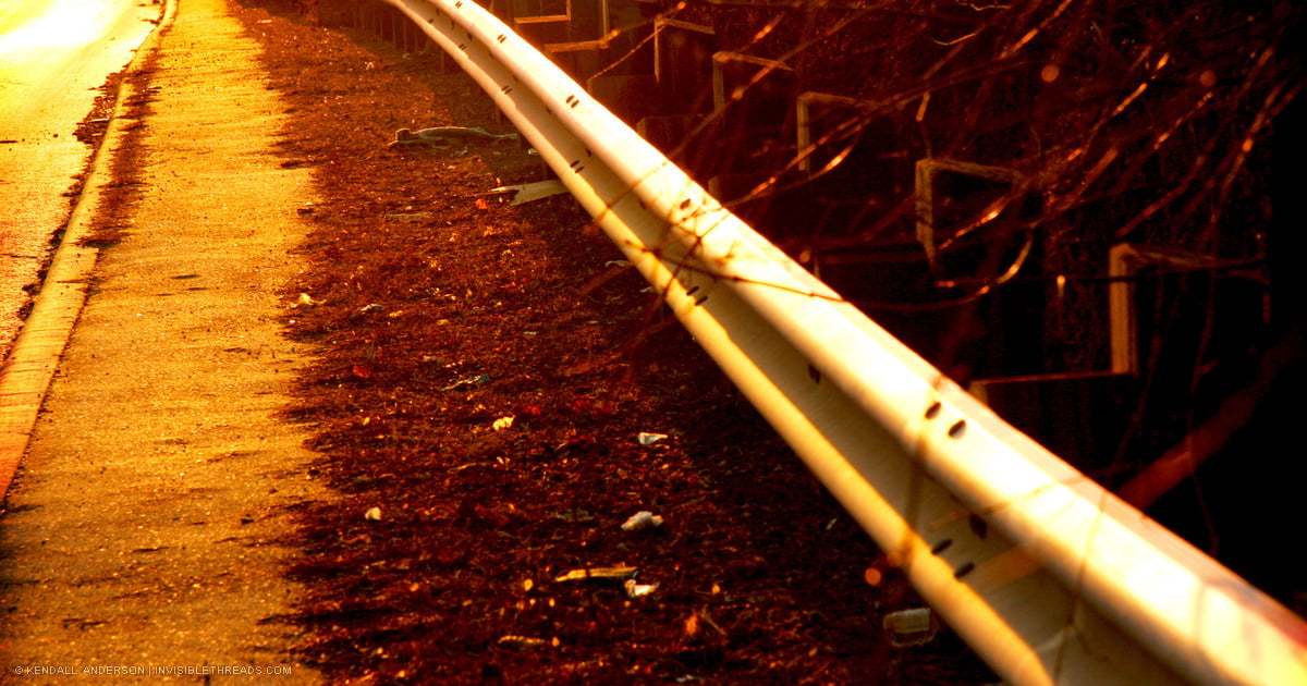 Guard Rail | Invisible Threads