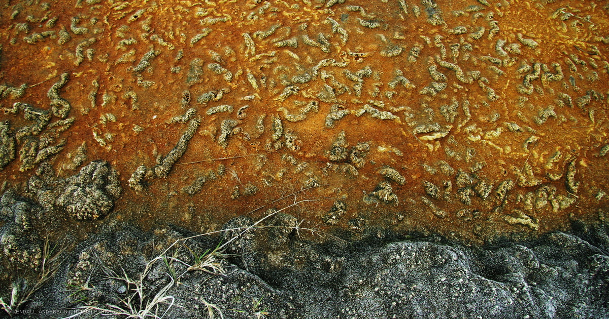 Sand Worms? | Mining Landscapes | Invisible Threads