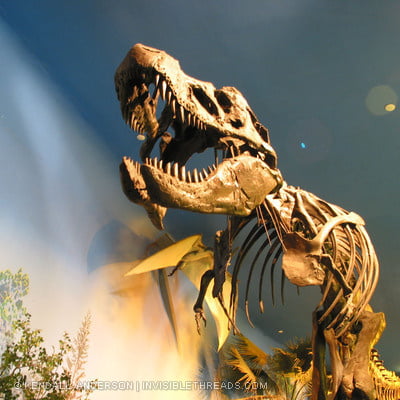 T-Rex | Invisible Threads