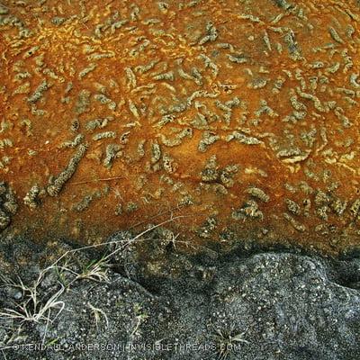 Sand Worms? | Mining Landscapes | Invisible Threads